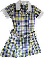 Bryneven Primary School Dress – schoolandleisure